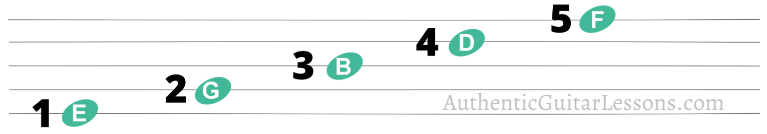 How To Read Basic Music Notation To Play Open Strings - Singersroom.com