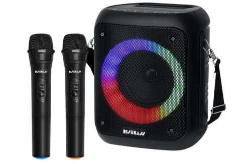 Risebass Portable Karaoke Machine Review - Singersroom.com