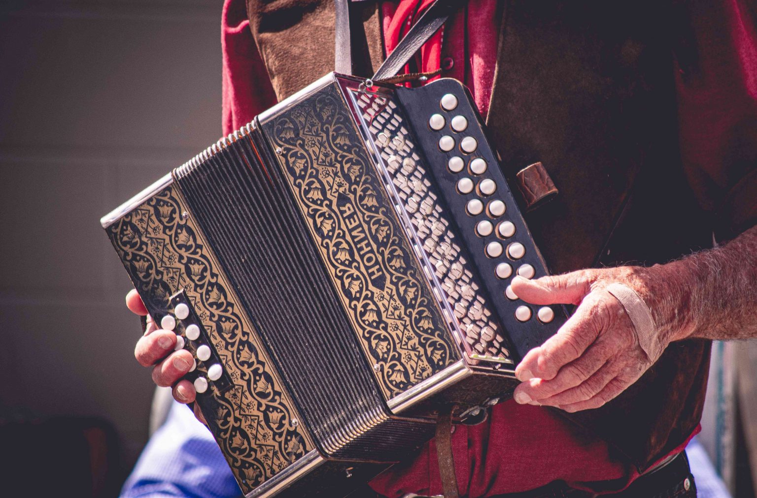 19 Best Musical Instruments That Start With the Letter A - Singersroom.com