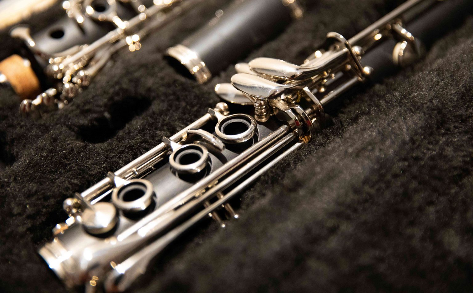 14 Best Musical Instruments That Start With the Letter O - Singersroom.com