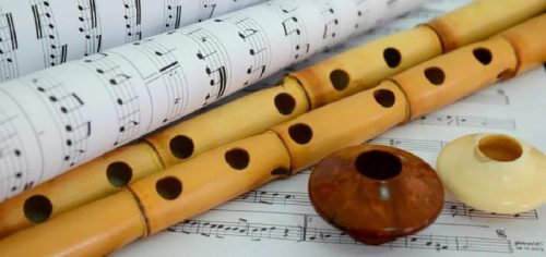 15 Best Musical Instruments That Start With the Letter N - Singersroom.com