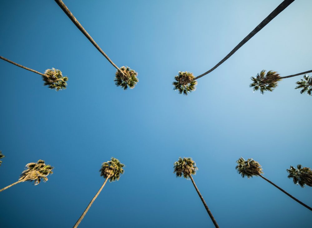 16 Songs about L.A. That Show the Good and the Bad - Singersroom.com