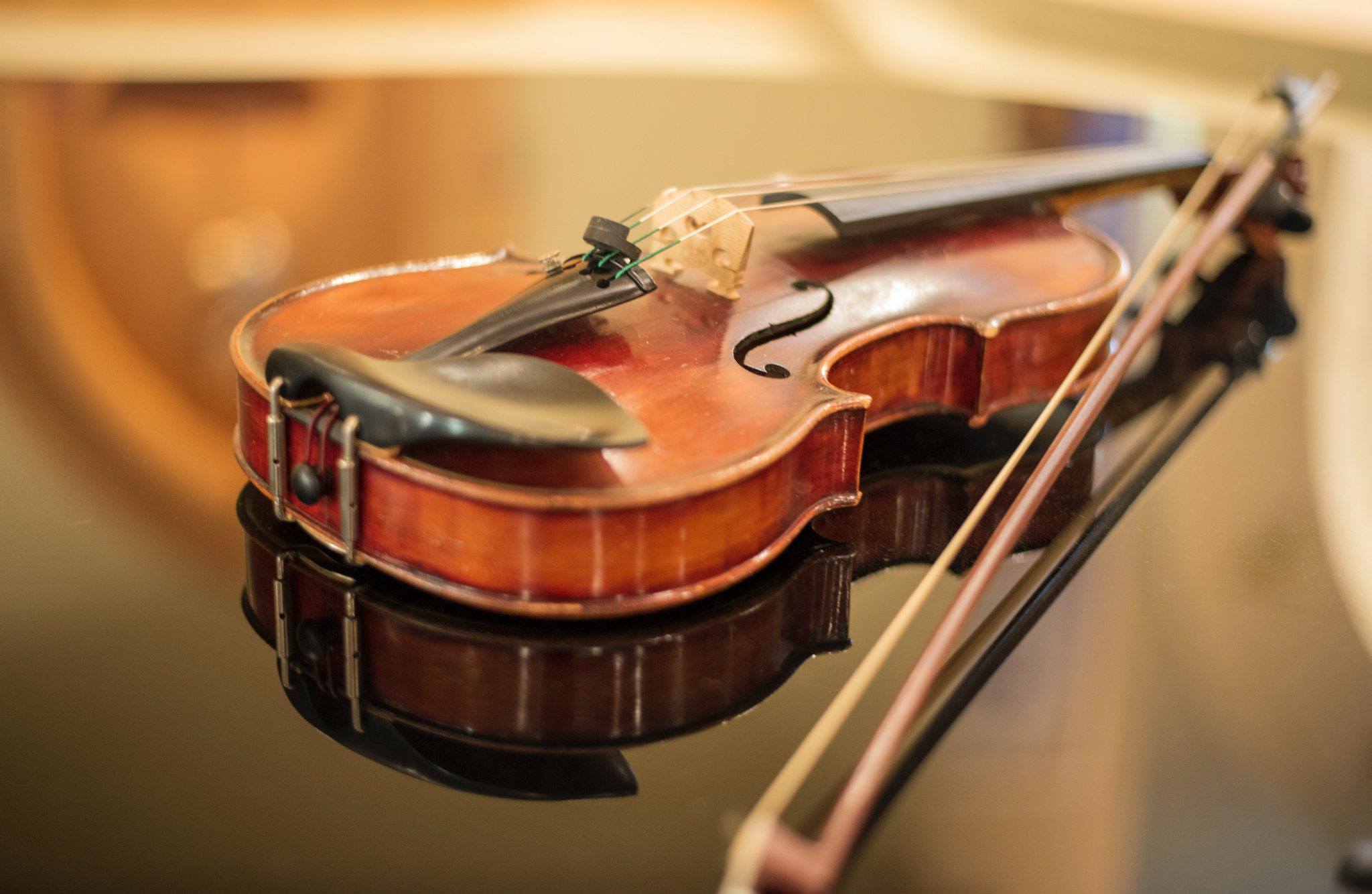 14 Best Musical Instruments That Start With the Letter V - Singersroom.com