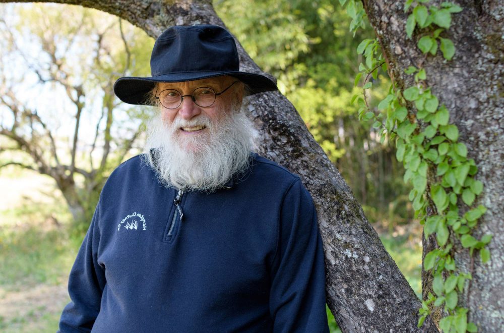 10 Best Terry Riley Songs of All Time - Singersroom.com