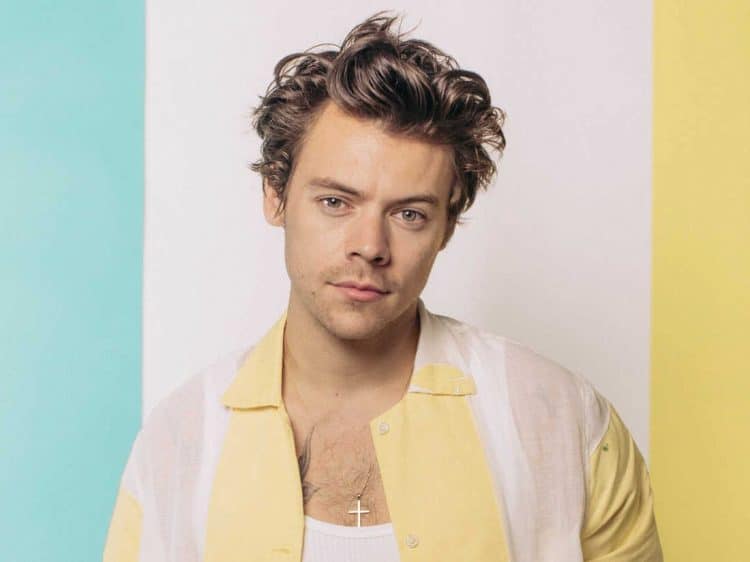 10 Best Harry Styles Songs of All Time - Singersroom.com