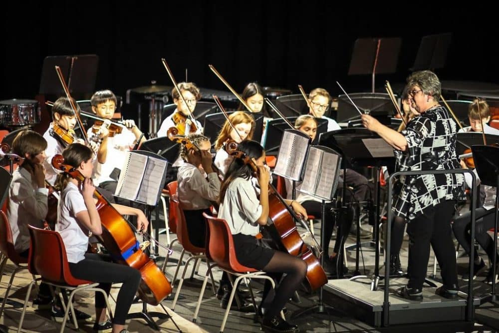 15 Best Instrumental Music Songs of All Time - Singersroom.com