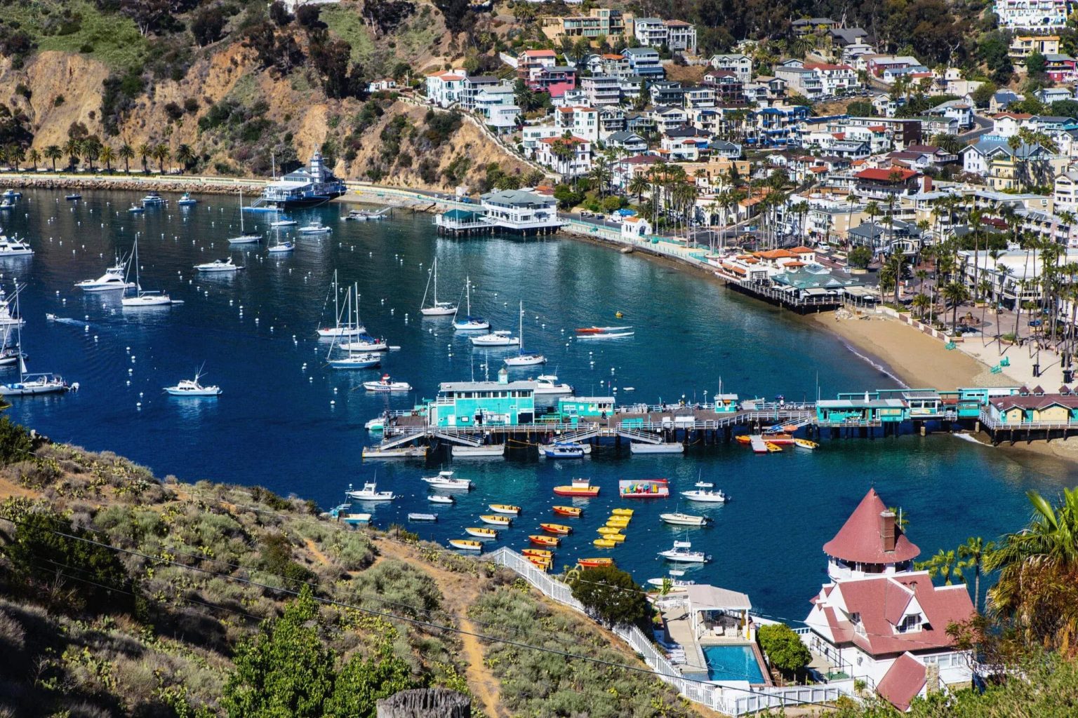 10 Famous Singers from California - Singersroom.com